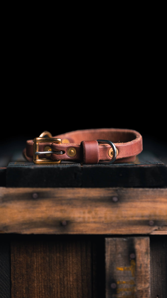 Dog Tack Collar – Arnoldsen Leather co